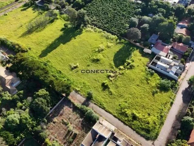 Terreno / Lote para Venda em Apucarana/PR Jardim Recanto dos Palmares