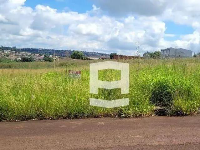 Terreno / Lote para Venda em Apucarana/PR Loteamento Monte Belo