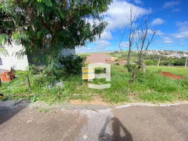 Terreno / Lote para Venda em Apucarana/PR Loteamento Residencial Cazarin
