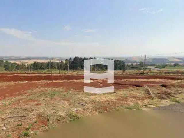 Terreno / Lote para Venda em Apucarana/PR Loteamento Residencial Uirapuru