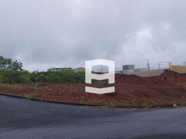 Terreno / Lote para Venda em Apucarana/PR Loteamento Residencial Veneza