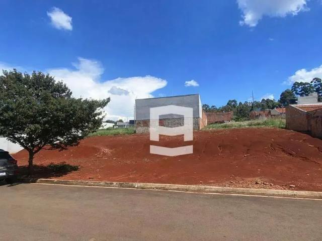 Terreno / Lote para Venda em Apucarana/PR Loteamento Santa Maria