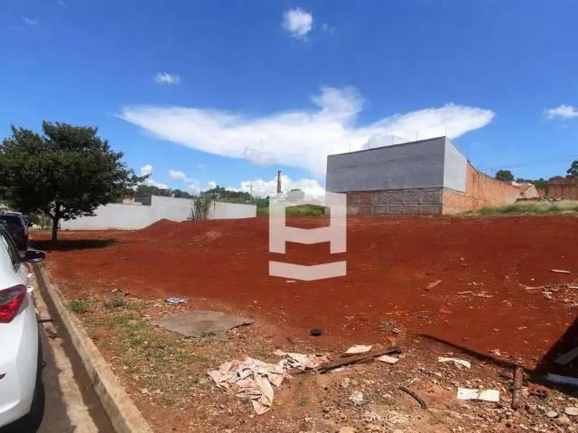 Terreno / Lote para Venda em Apucarana/PR Loteamento Santa Maria