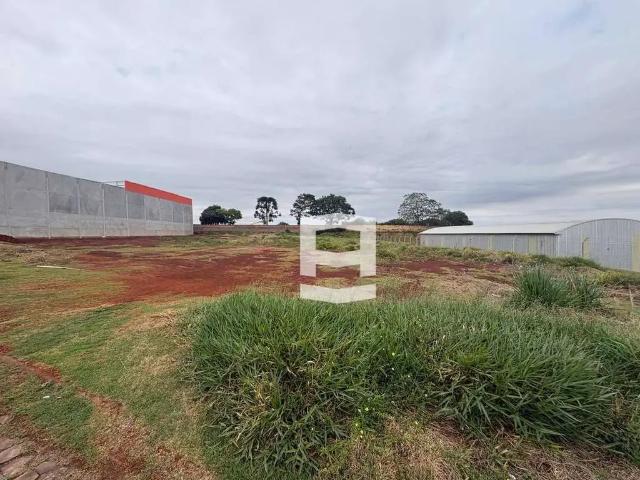 Terreno / Lote para Venda em Apucarana/PR Parque Industrial Zona Norte