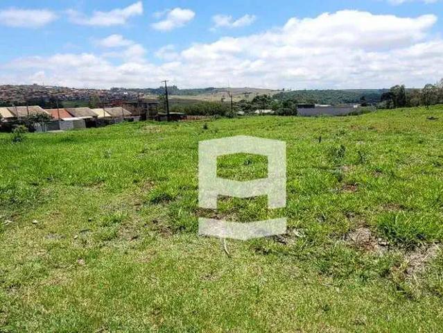Terreno / Lote para Venda em Apucarana/PR Recanto Mundo Novo