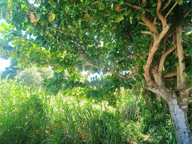 Terreno / Lote para Venda em Armação dos Búzios/RJ Caravelas