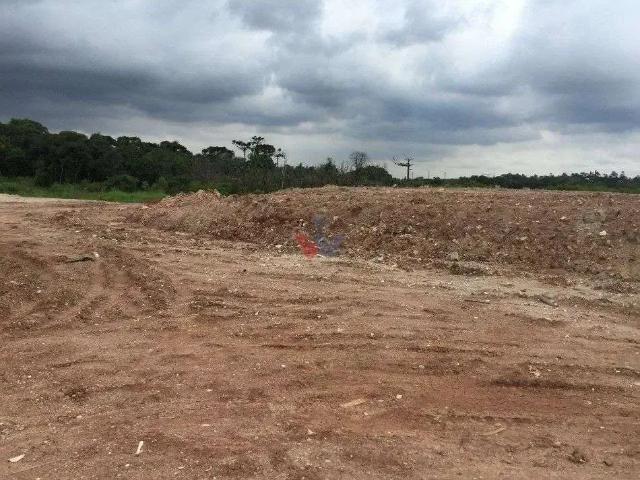 Terreno / Lote para Venda em Araucária/PR Thomaz Coelho