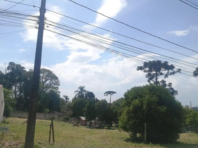 Terreno / Lote para Venda em Araucária/PR Tindiquera