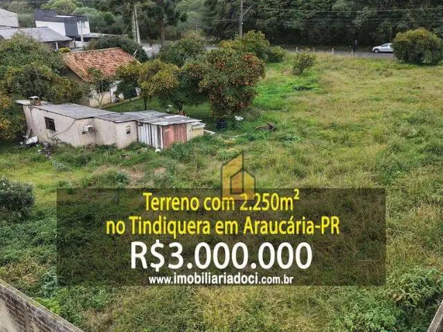 Terreno / Lote para Venda em Araucária/PR Tindiquera