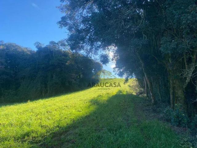 Terreno / Lote para Venda em Araucária/PR Zona Rural
