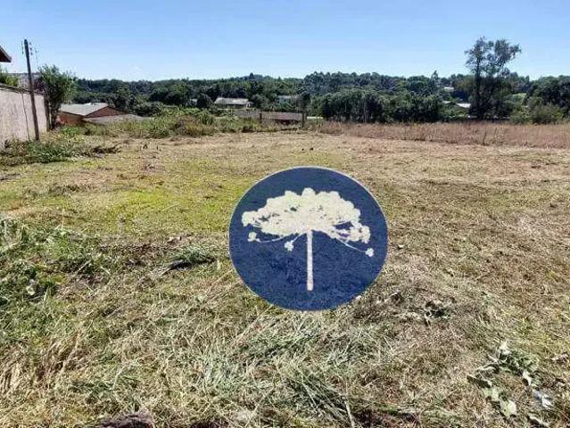 Terreno / Lote para Venda em Araucária/PR Zona Rural