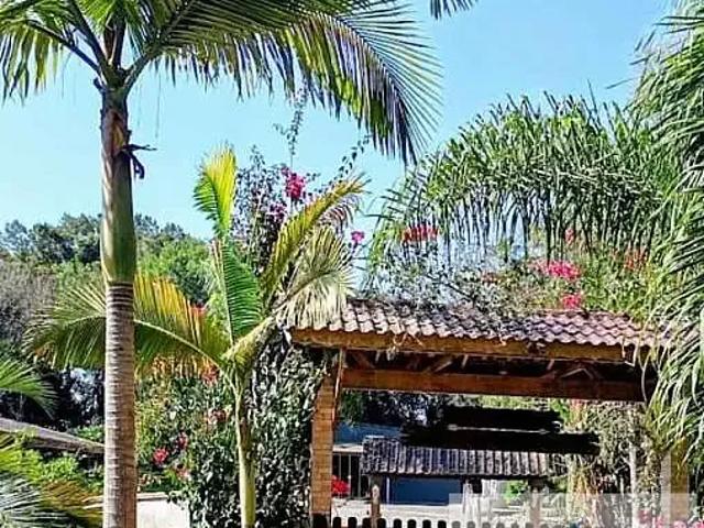 Terreno / Lote para Venda em Araucária/PR Zona Rural