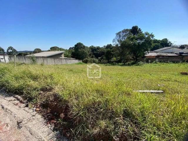 Terreno / Lote para Venda em Araucária/PR Campina da Barra