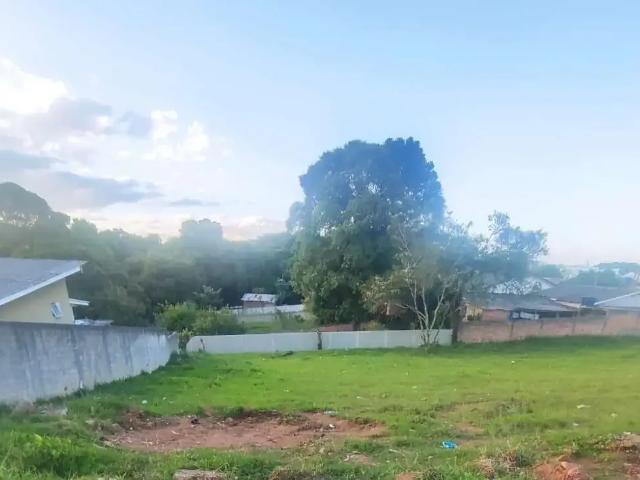 Terreno / Lote para Venda em Araucária/PR Campina da Barra