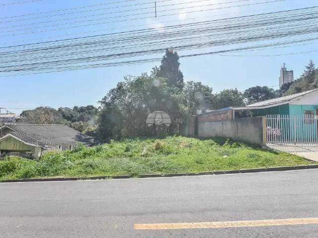 Terreno / Lote para Venda em Araucária/PR Centro