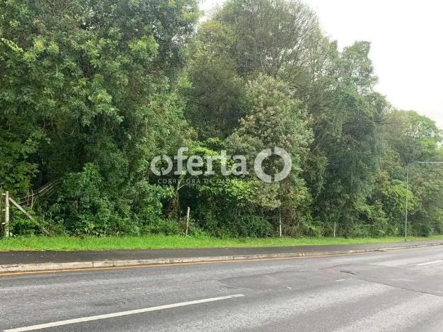 Terreno / Lote para Venda em Araucária/PR Centro