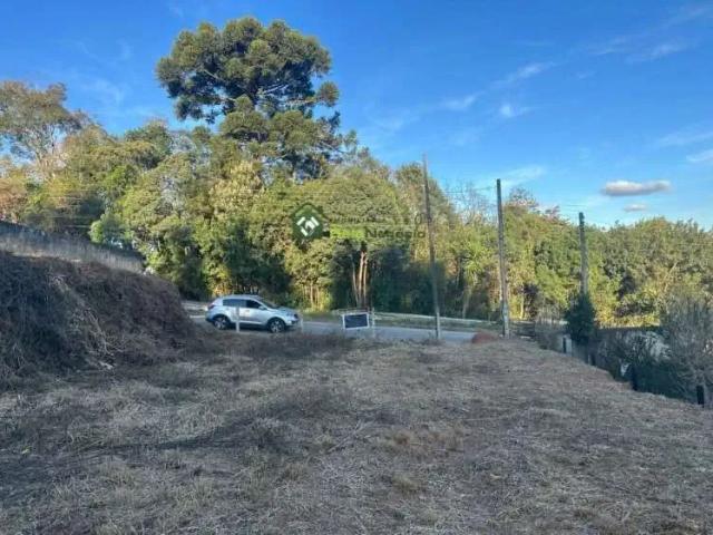 Terreno / Lote para Venda em Araucária/PR Centro