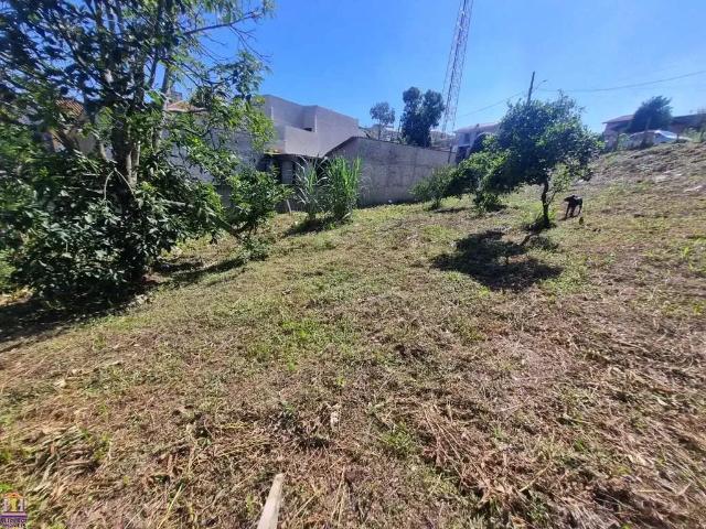 Terreno / Lote para Venda em Araucária/PR Centro