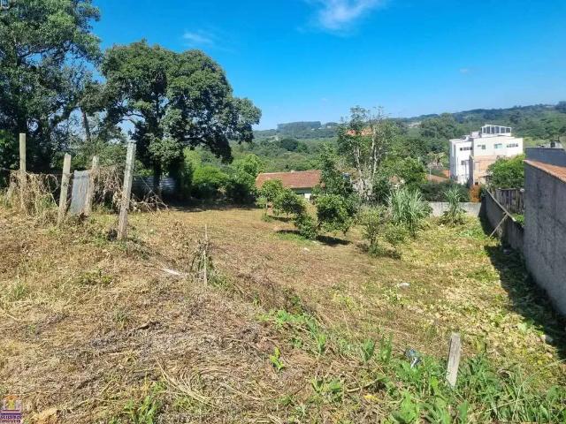Terreno / Lote para Venda em Araucária/PR Centro
