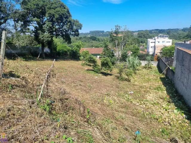 Terreno / Lote para Venda em Araucária/PR Centro