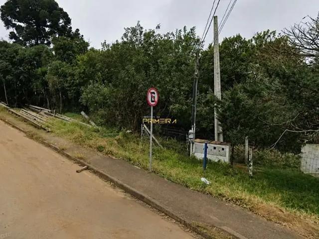 Terreno / Lote para Venda em Araucária/PR Centro