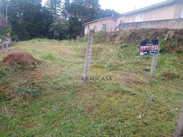 Terreno / Lote para Venda em Araucária/PR Centro