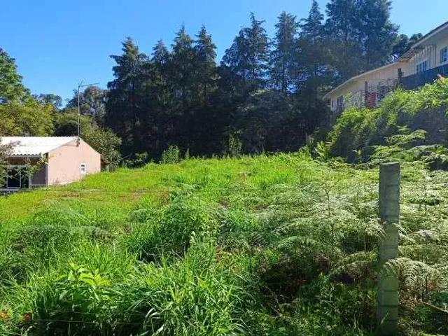 Terreno / Lote para Venda em Araucária/PR Centro