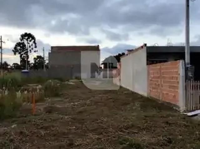 Terreno / Lote para Venda em Araucária/PR Costeira