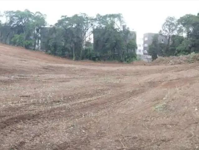 Terreno / Lote para Venda em Araucária/PR Costeira