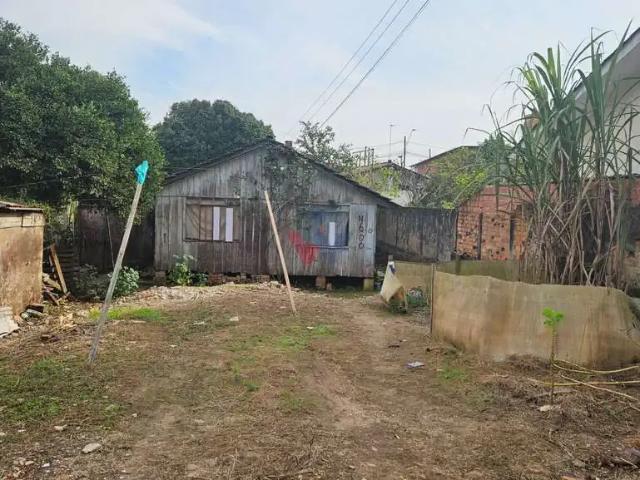 Terreno / Lote para Venda em Araucária/PR Costeira