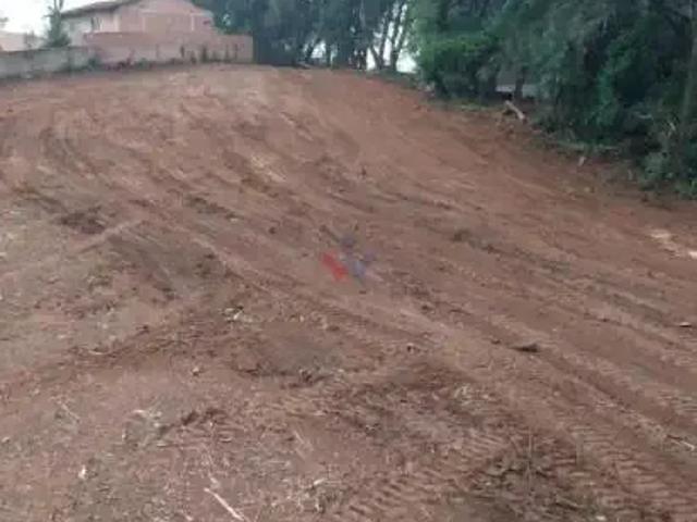 Terreno / Lote para Venda em Araucária/PR Costeira