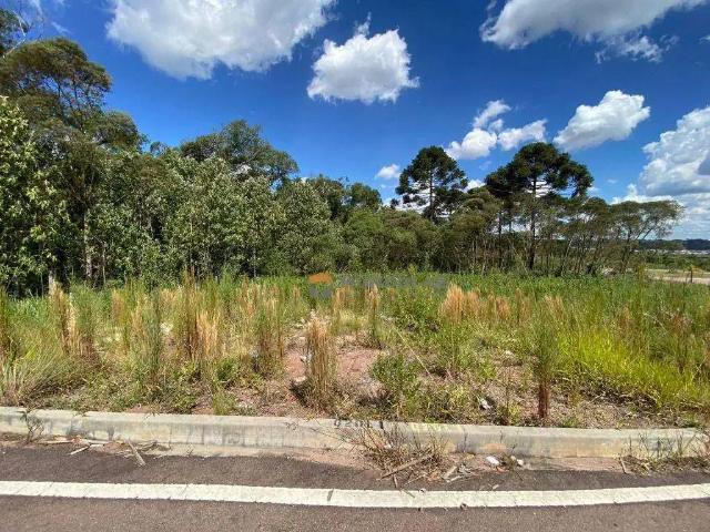 Terreno / Lote para Venda em Araucária/PR Costeira