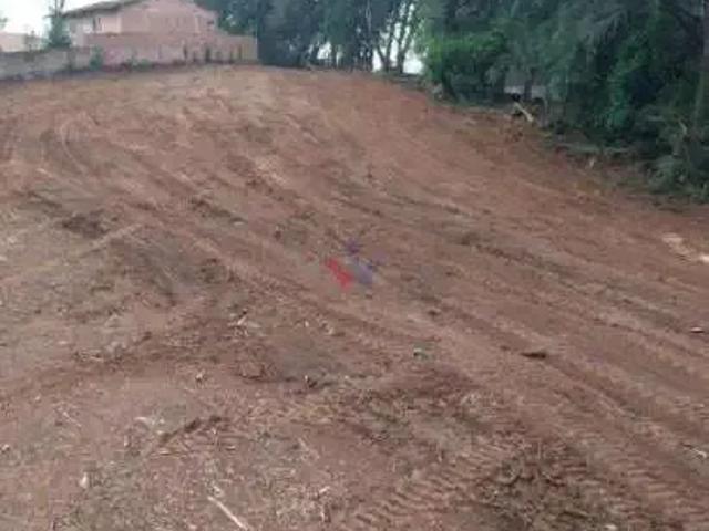 Terreno / Lote para Venda em Araucária/PR Costeira