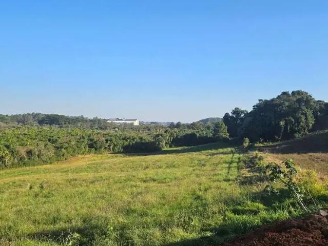 Terreno / Lote para Venda em Araucária/PR Estação