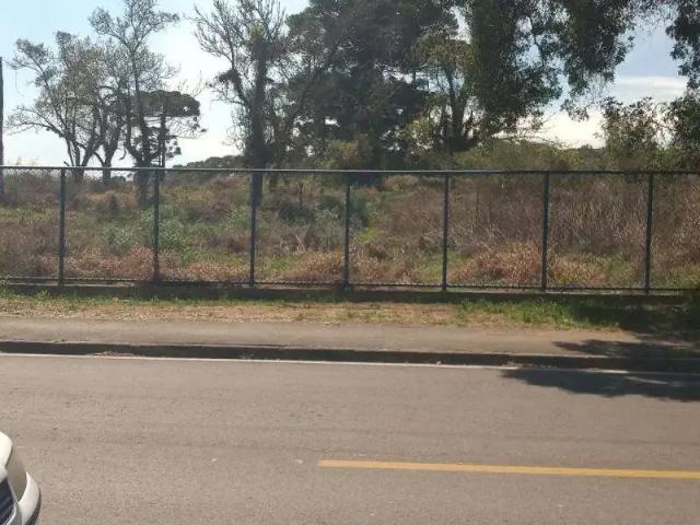 Terreno / Lote para Venda em Araucária/PR Estação