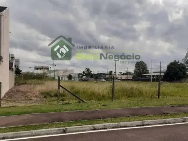 Terreno / Lote para Venda em Araucária/PR Fazenda Velha