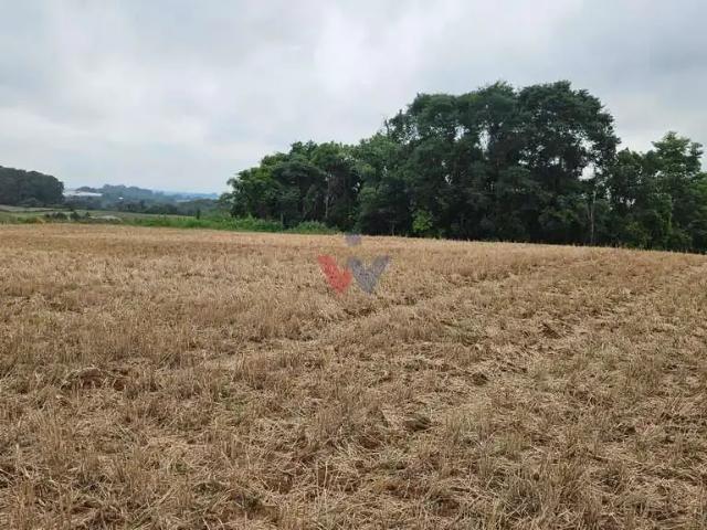 Terreno / Lote para Venda em Araucária/PR Guajuvira