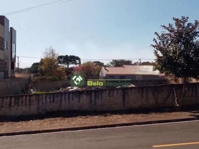 Terreno / Lote para Venda em Araucária/PR Iguaçu