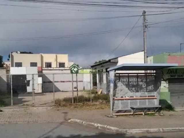 Terreno / Lote para Venda em Araucária/PR Iguaçu