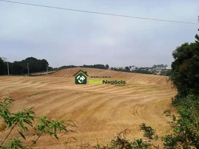 Terreno / Lote para Venda em Araucária/PR Palmital