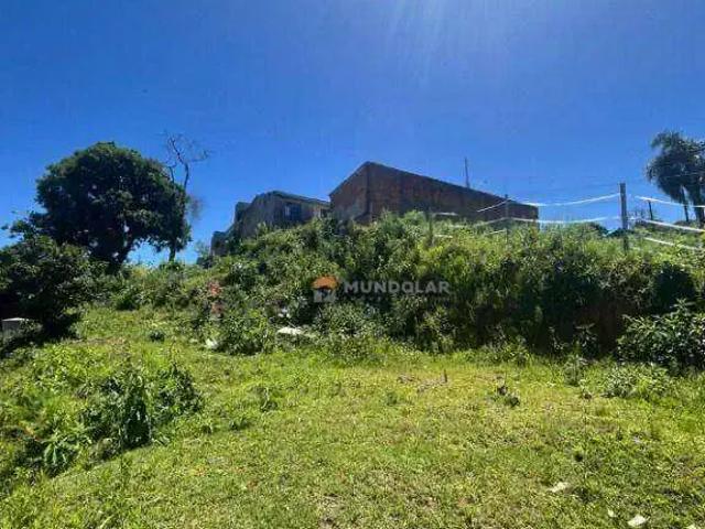 Terreno / Lote para Venda em Araucária/PR Passauna