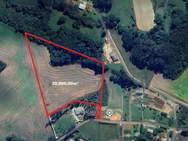 Terreno / Lote para Venda em Araucária/PR Roça velha