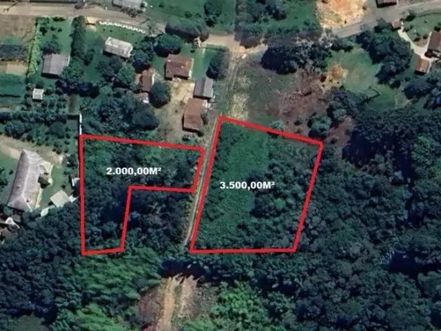 Terreno / Lote para Venda em Araucária/PR Roça velha