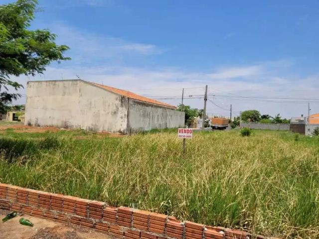 Terreno / Lote para Venda em Araçatuba/SP Umuarama