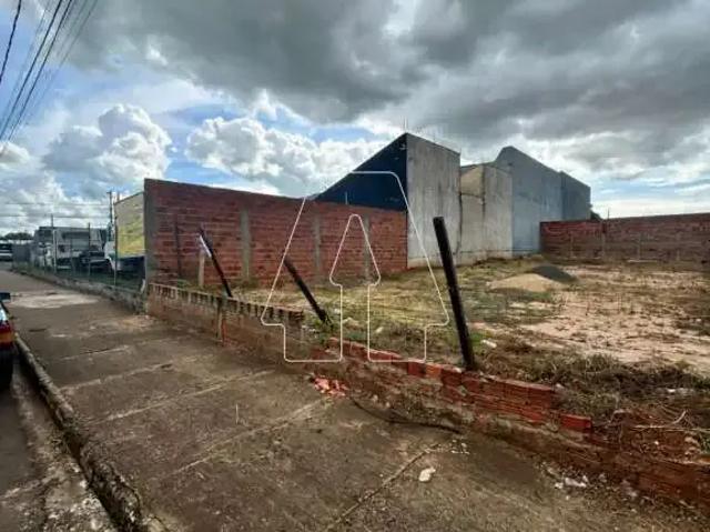Terreno / Lote para Venda em Araçatuba/SP Umuarama