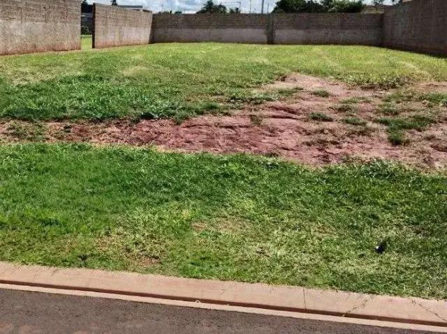 Terreno / Lote para Venda em Araçatuba/SP Vila Aeronáutica