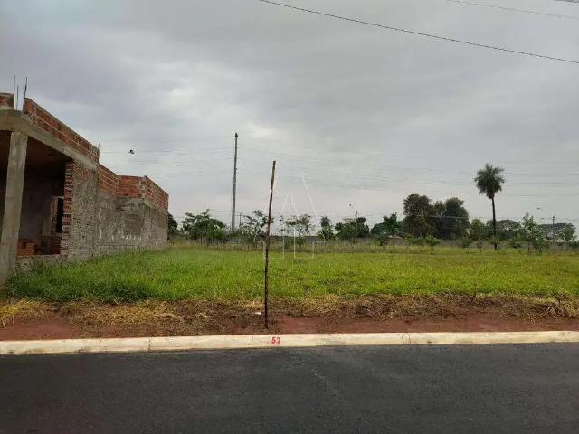 Terreno / Lote para Venda em Araçatuba/SP Vila Aeronáutica