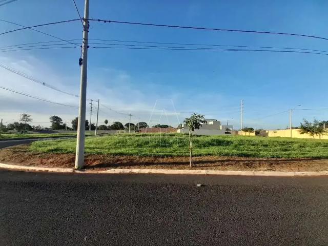 Terreno / Lote para Venda em Araçatuba/SP Vila Aeronáutica