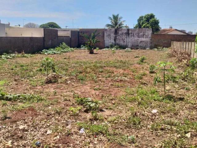 Terreno / Lote para Venda em Araçatuba/SP Vila Industrial