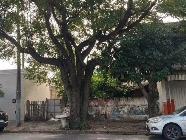 Terreno / Lote para Venda em Araçatuba/SP Vila Santo Antônio